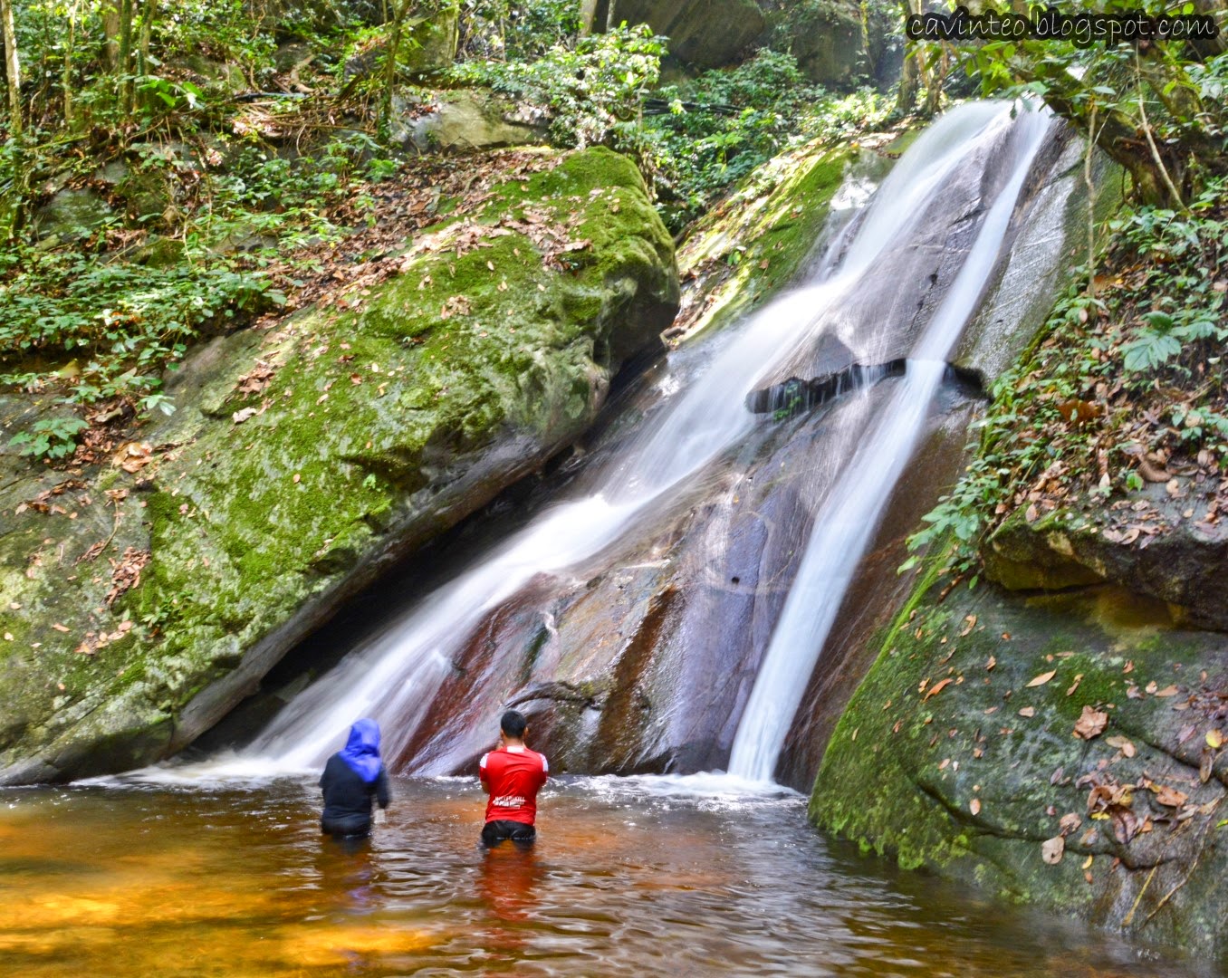 Entree Kibbles: Kipungit Waterfall @ Sabah Poring Hot Spring [East ...